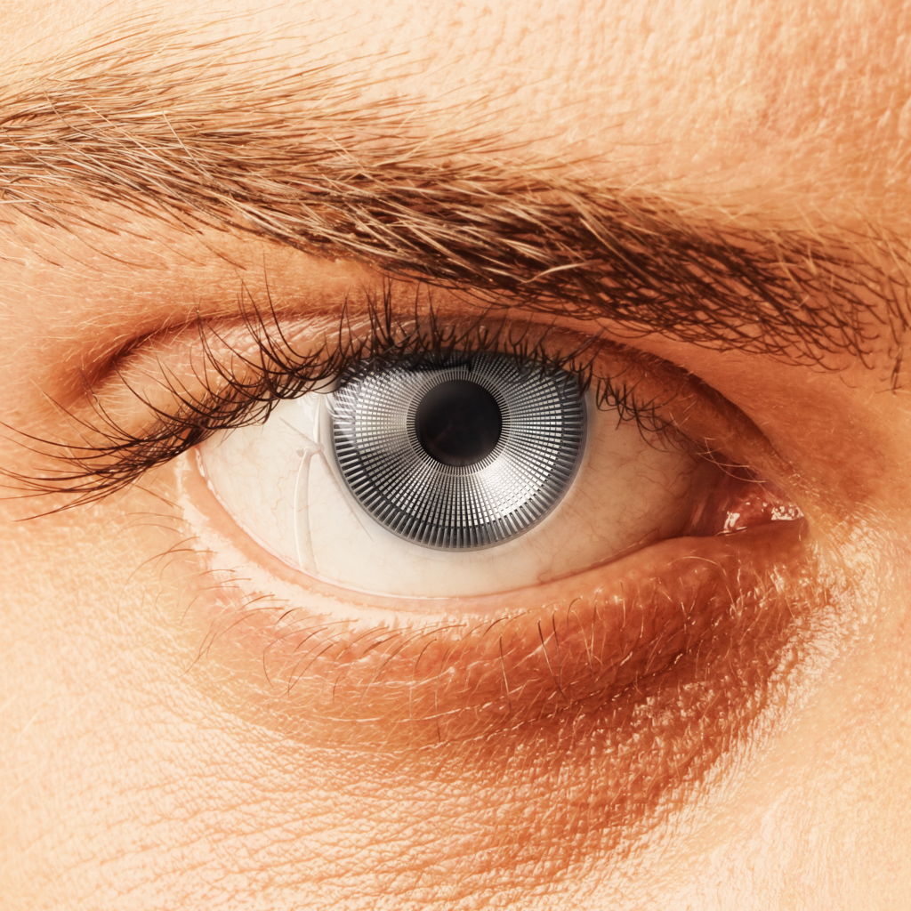 VISION FOR WIND | The Switch